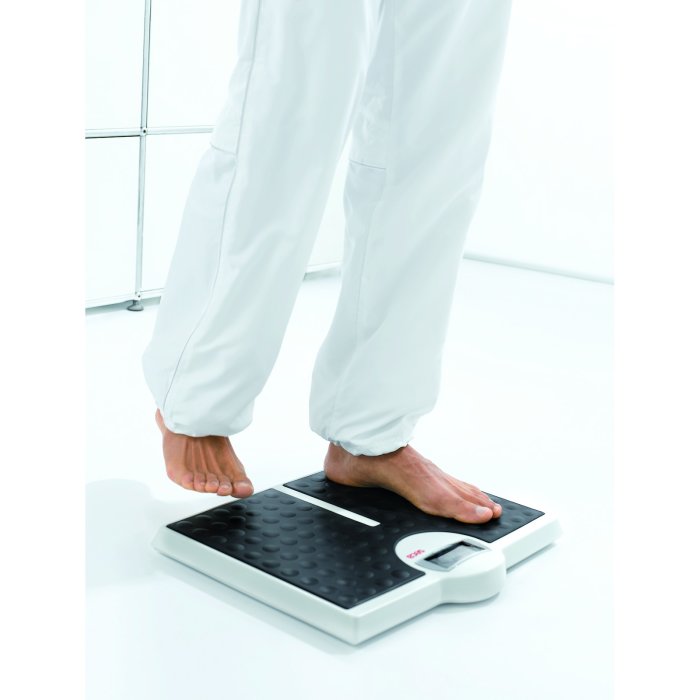 Personenwaage seca robusta 813 kaufen - waagenwelt